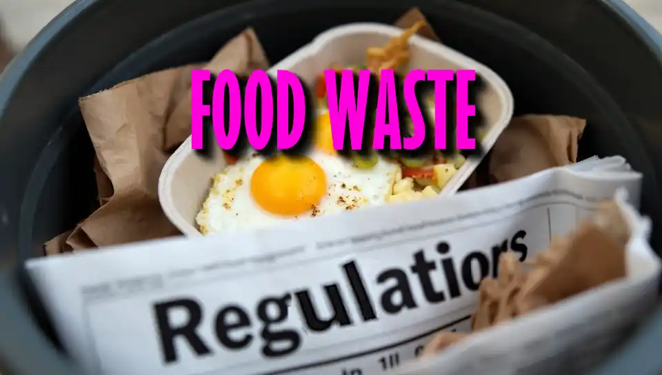 Food Waste Policies and Regulations: An Overview